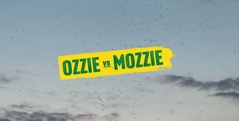 Ozzie vs Mozzie | Australian Government Department of Health ...