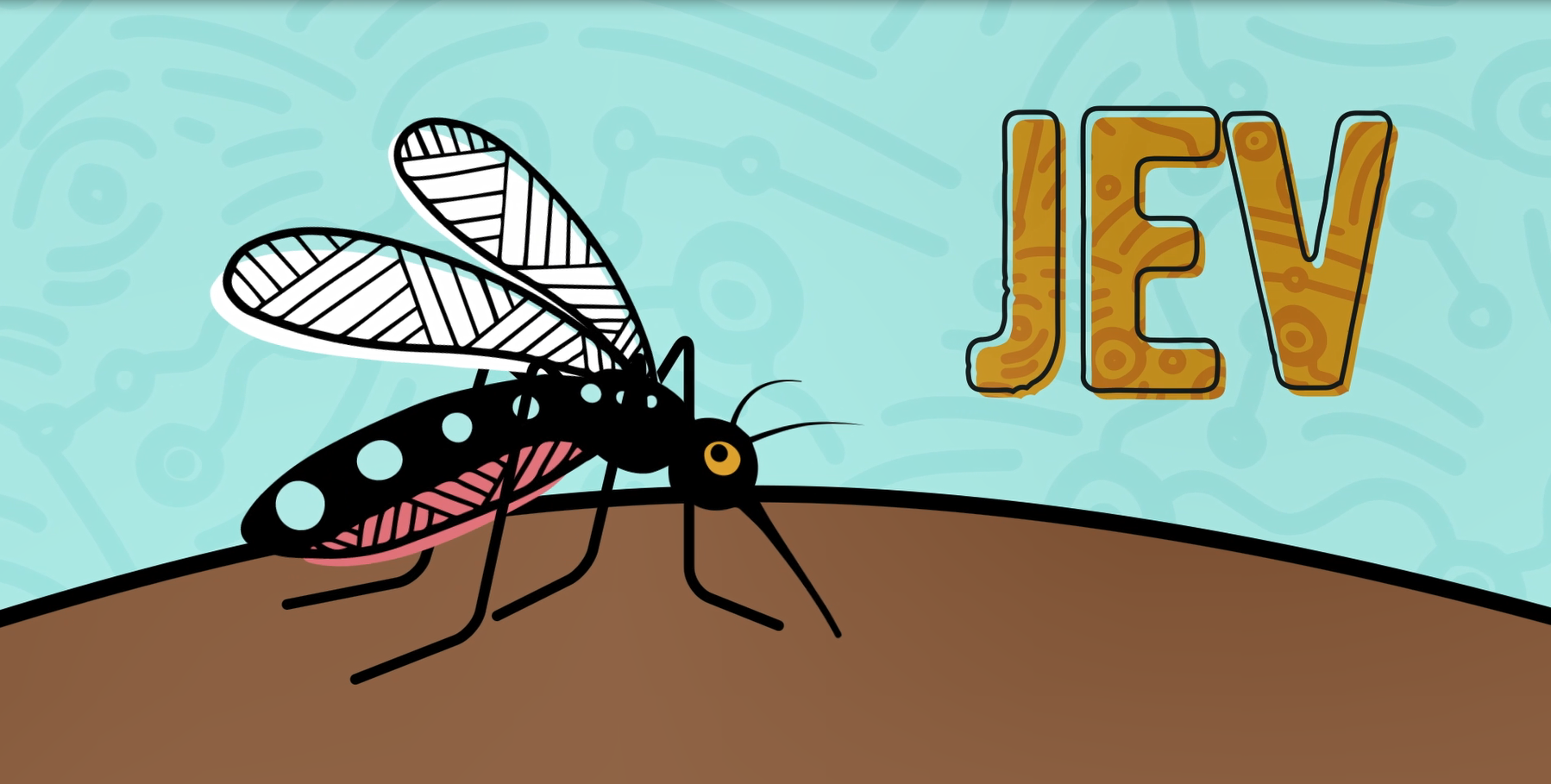 S.W.A.T for Safety | Australian Government Department of Health ...