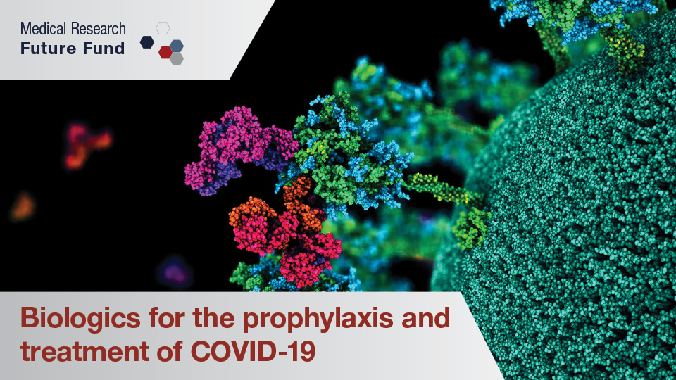Discovering an Australian antiviral drug for COVID-19 | Australian ... Discovering an Australian antiviral drug for COVID-19 | Australian ...