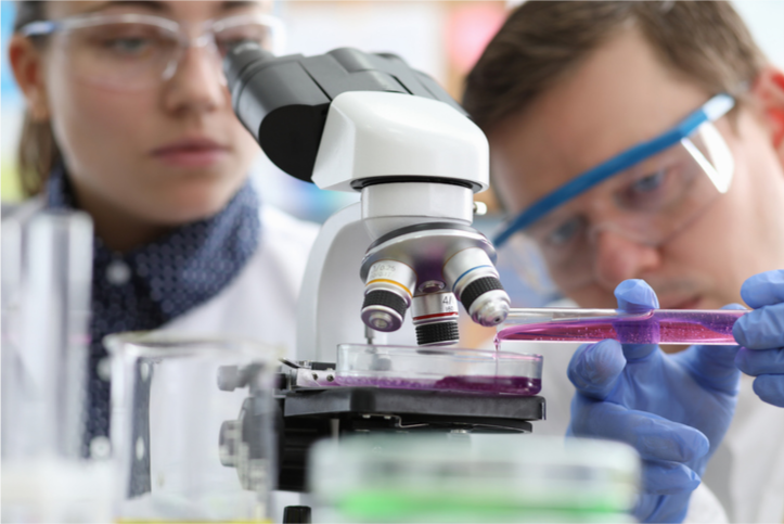 Report on financial support for medical research and innovation ...