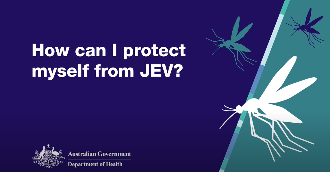 How can I protect myself from JEV? | Australian Government Department ...